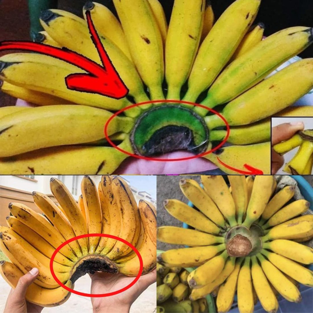 Don't throw away this part of the banana